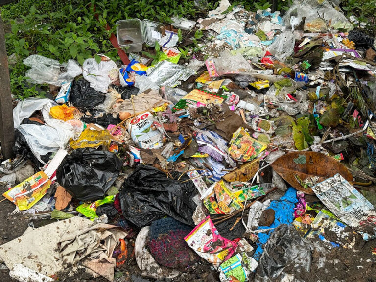 Thimphu’s food scraps pile up while plastic steals the spotlight ...